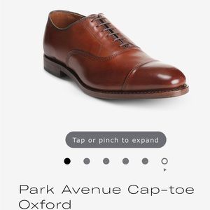 Allen Edmonds | Shoes | Mens Allen Edmonds Dark Chili Park Avenue ...
